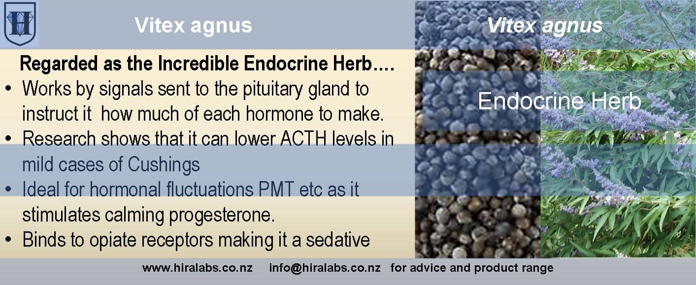 Vitex Agnus-Castus - Hira Laboratories Limited